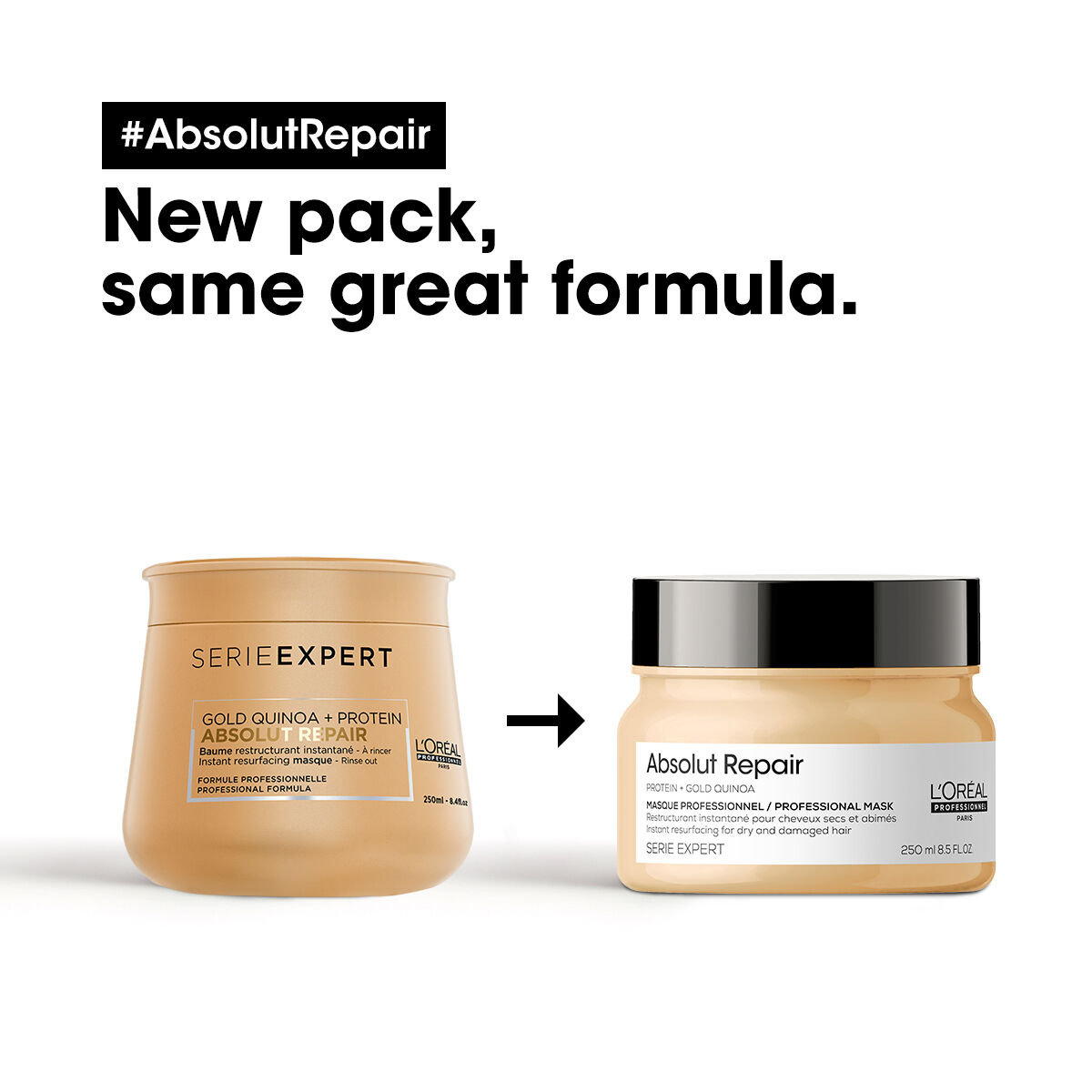 L'Oreal Professionnel Absolut Repair Instant Resurfacing Masque